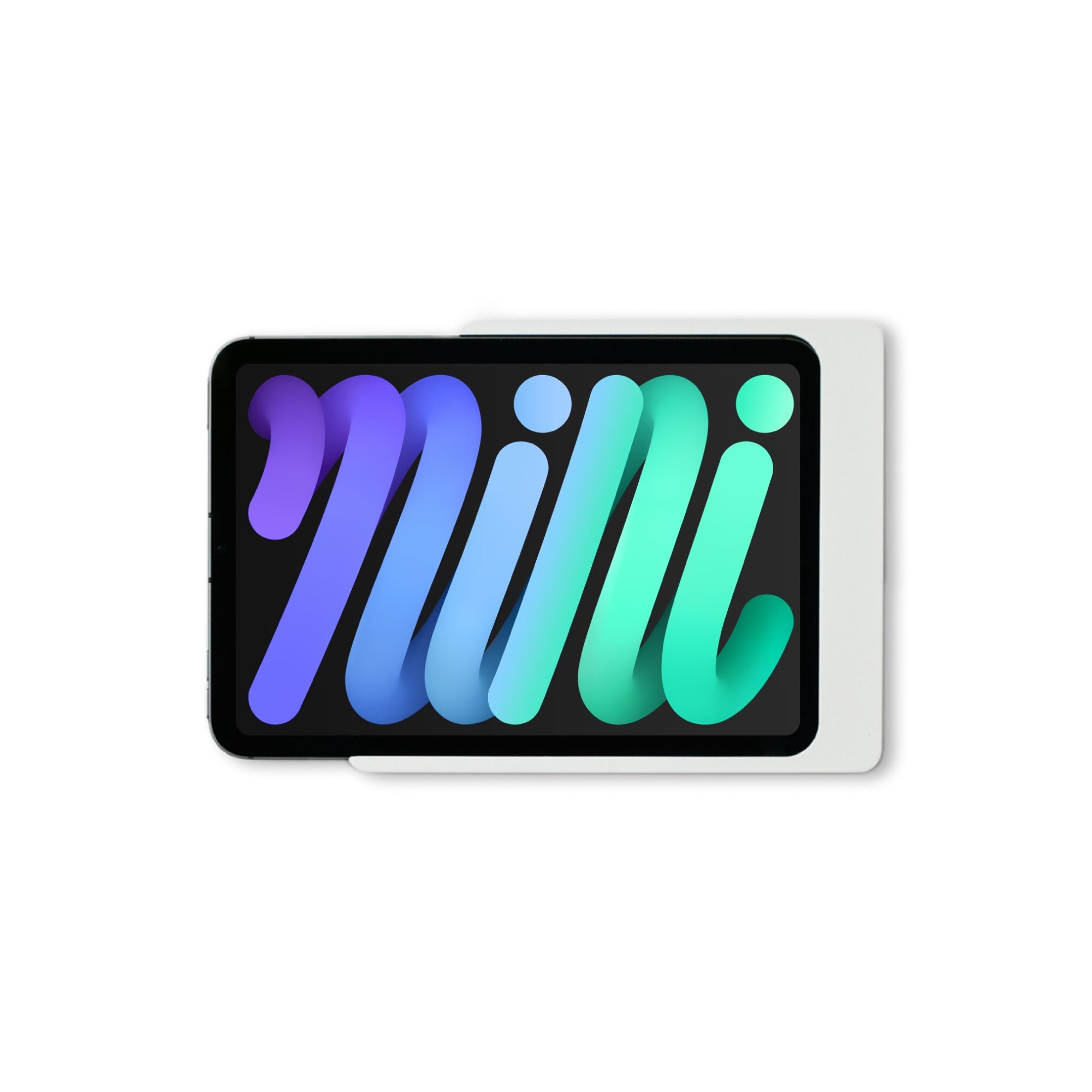 Companion Wall Home for iPad mini | Displine